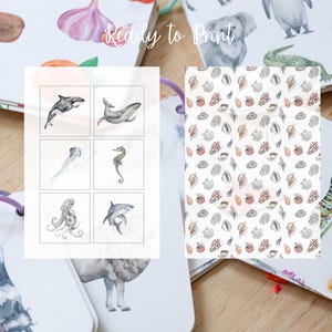 80 Printable Flashcards | Animal Flashcards | Fruit and Vegetables ...