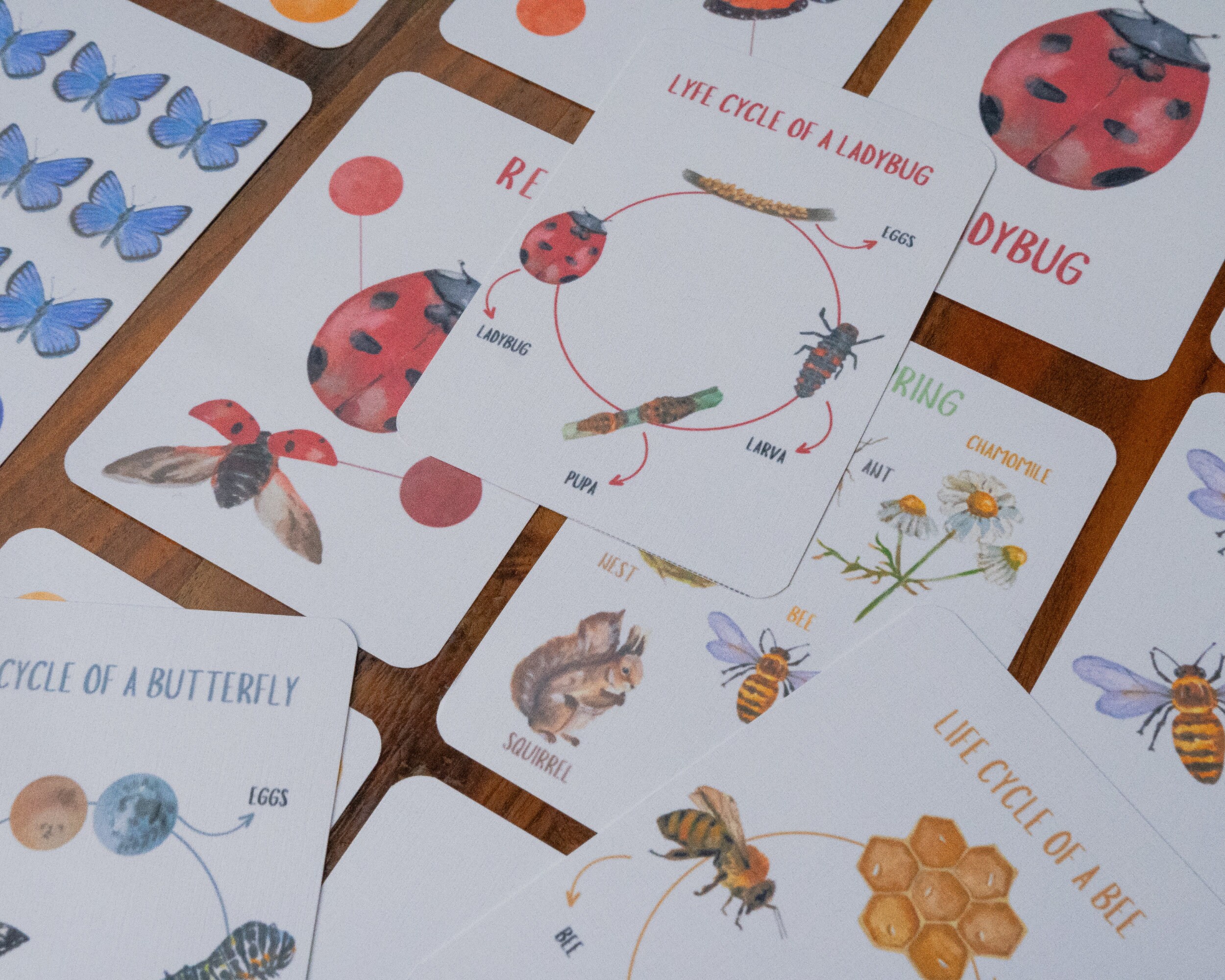 40 Spring Flashcards | Color Flashcards | Counting Flashcards | Nature ...