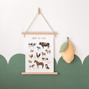 Set of 3 Educational Posters | Animal Posters | Classroom Decor ...