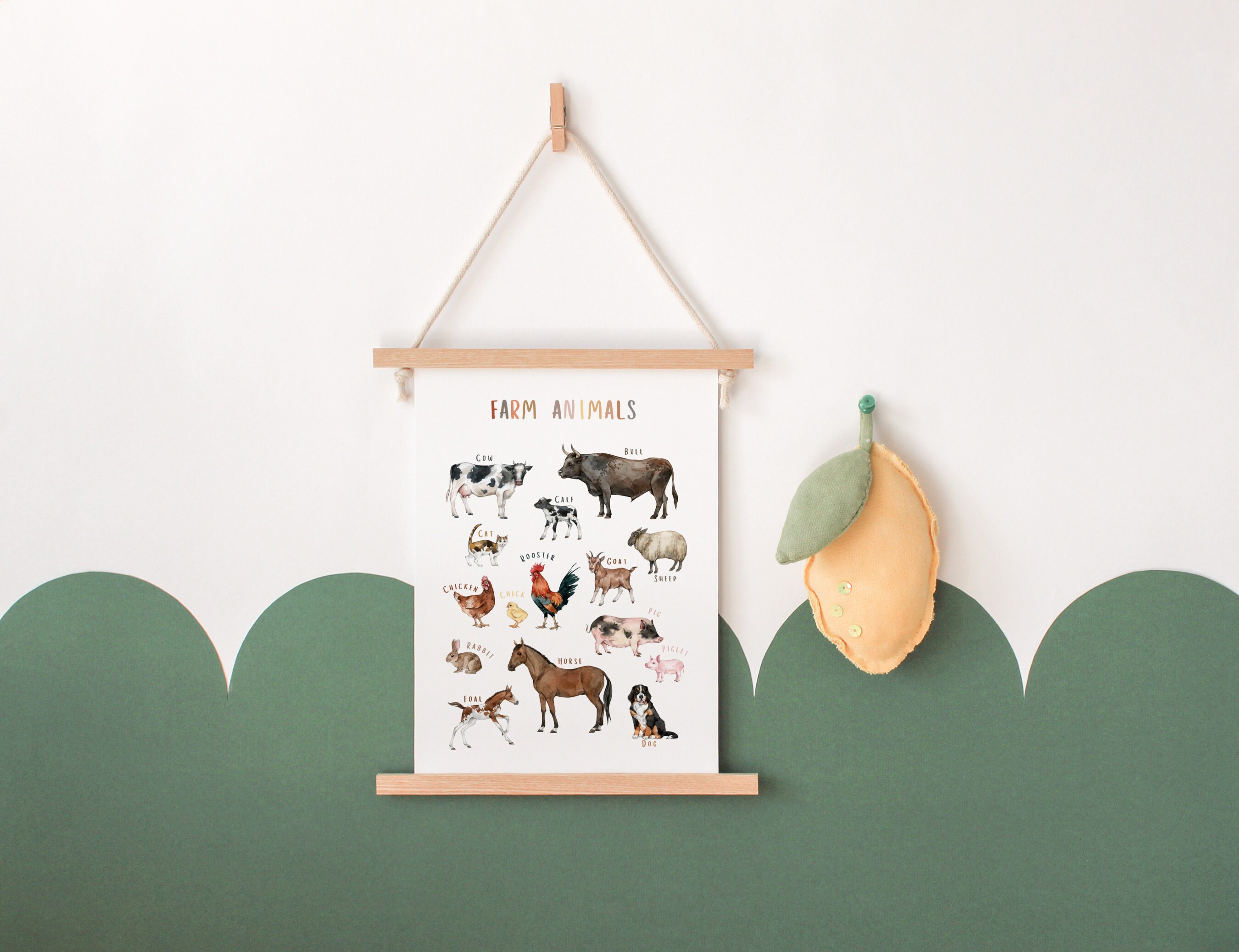 Set of 3 Educational Posters Animal Posters Classroom - Etsy UK