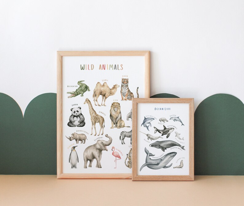Set of 3 Educational Posters | Animal Posters | Classroom Decor ...