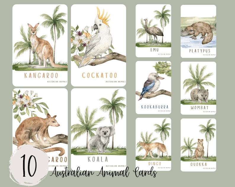 Printable Animal Flashcards Montessori Flashcards Kids - Etsy