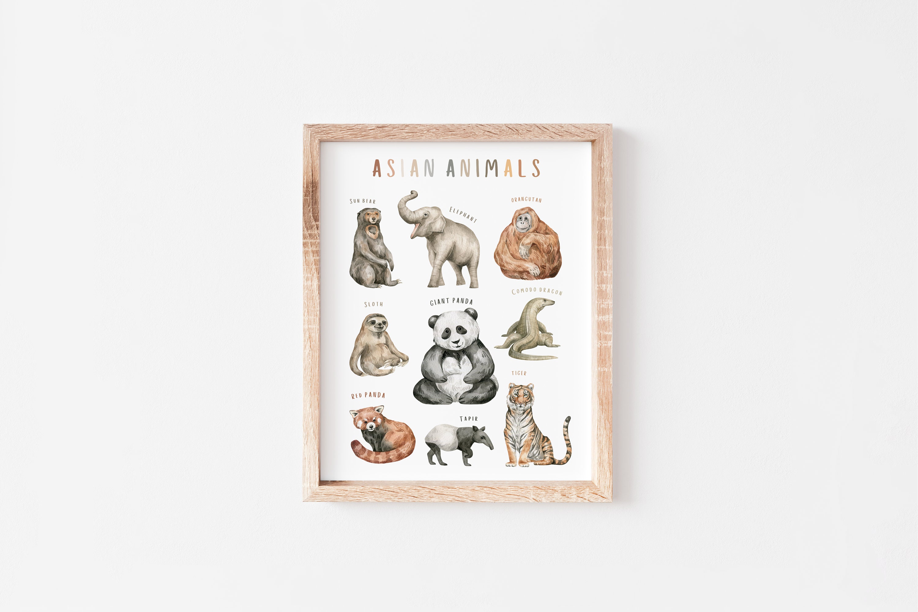 Asian Animals Poster | Educational Poster | Classroom Decor | Preschool ...