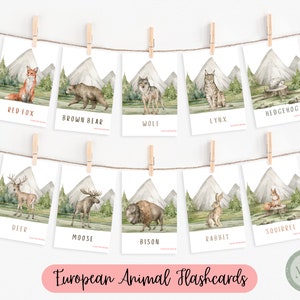 70 Printable Animal Flashcards | Toddler Flashcards | Preschool ...