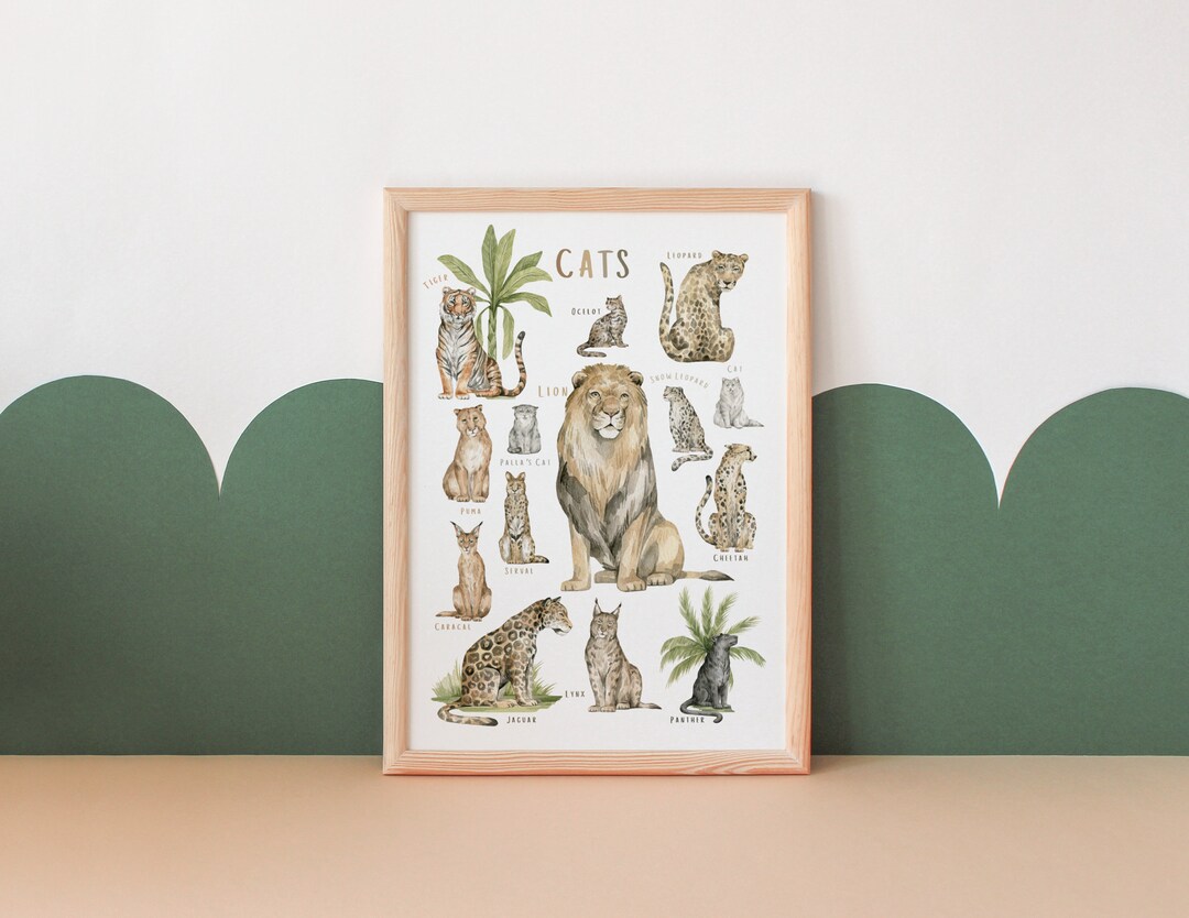 Cats Poster | Educational Poster | Playroom Wall Art | Animal Poster ...