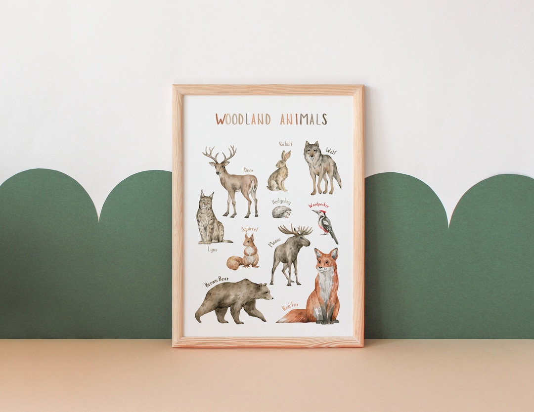 Woodland Animals Poster | Educational Poster | Montessori Poster ...