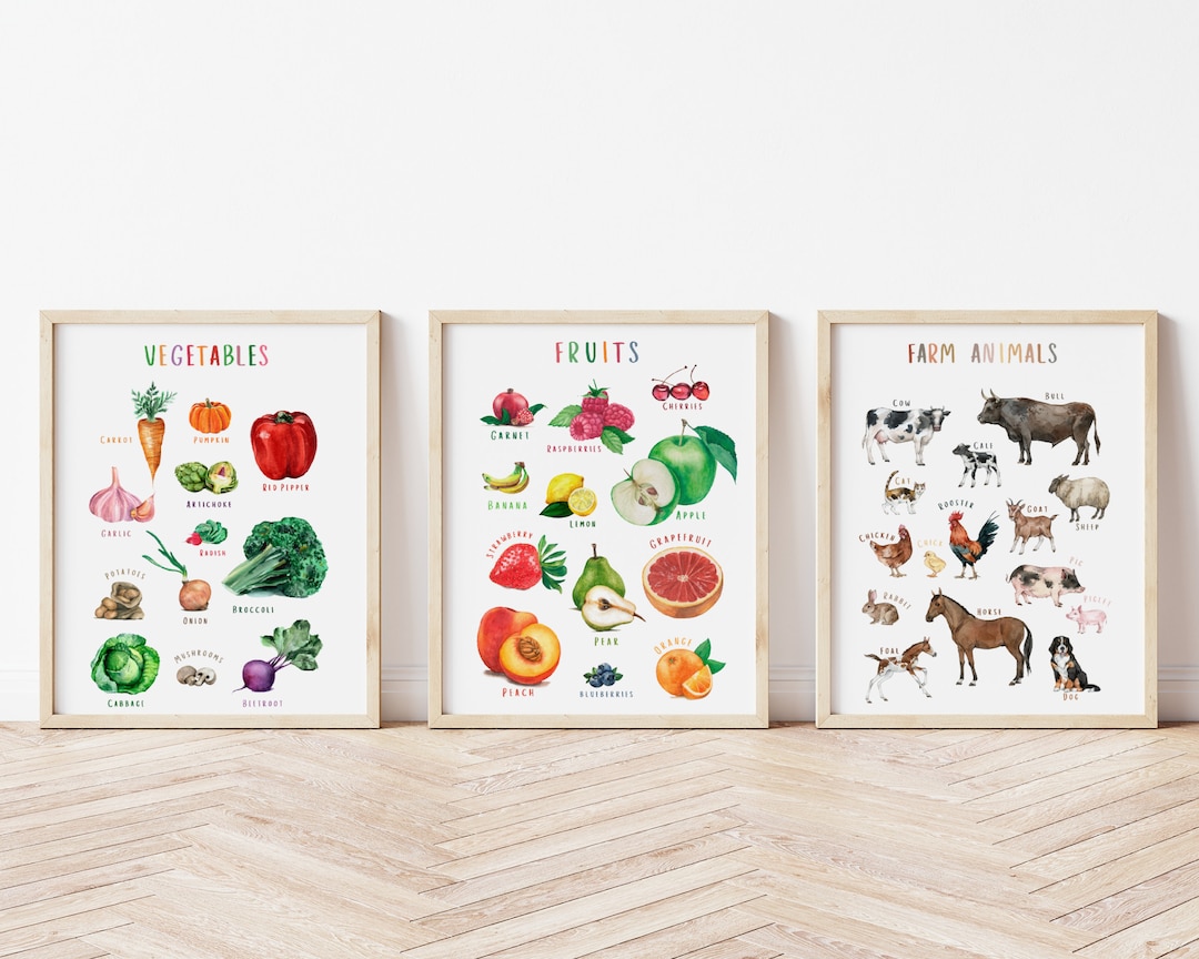 Set of 3 Educational Posters Vegetables Poster Fruit - Etsy