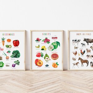Set of 3 Educational Posters | Vegetables Poster | Fruit Poster | Farm ...