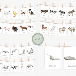 92 Printable Flashcards | Animal Flashcards | Farm Animal Flashcards ...
