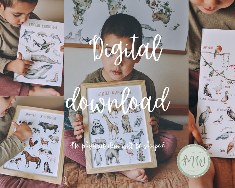 Australian Animals Poster Educational Poster Classroom Decor Preschool ...