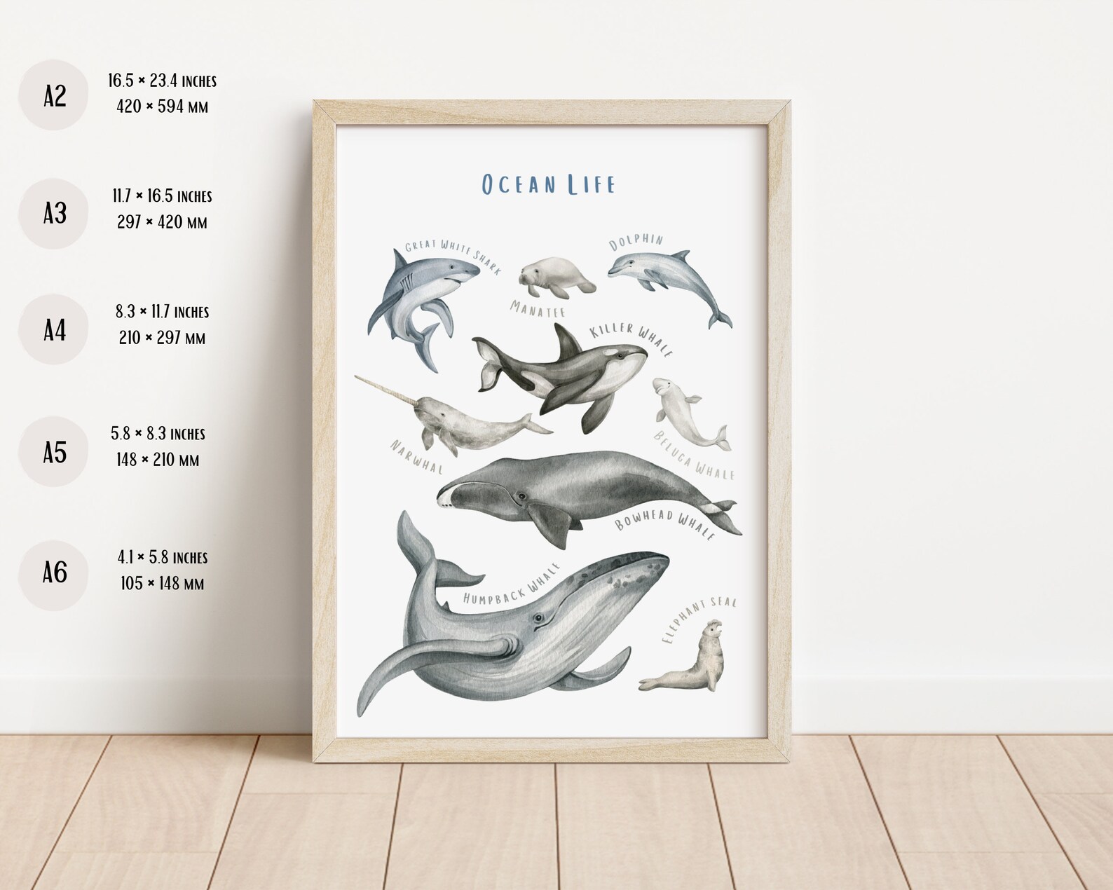 Ocean Animals Poster Educational Poster Homeschool Decor Classroom ...