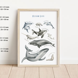 Ocean Animals Poster | Educational Poster | Homeschool Decor ...