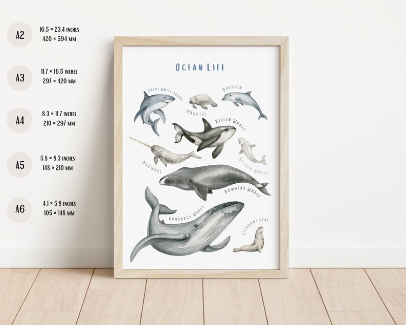 Ocean Animals Poster | Educational Poster | Homeschool Decor ...