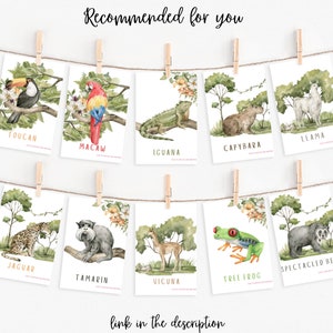 Printable Animal Flashcards | Asian Animal Flashcards | Kids Flashcards ...