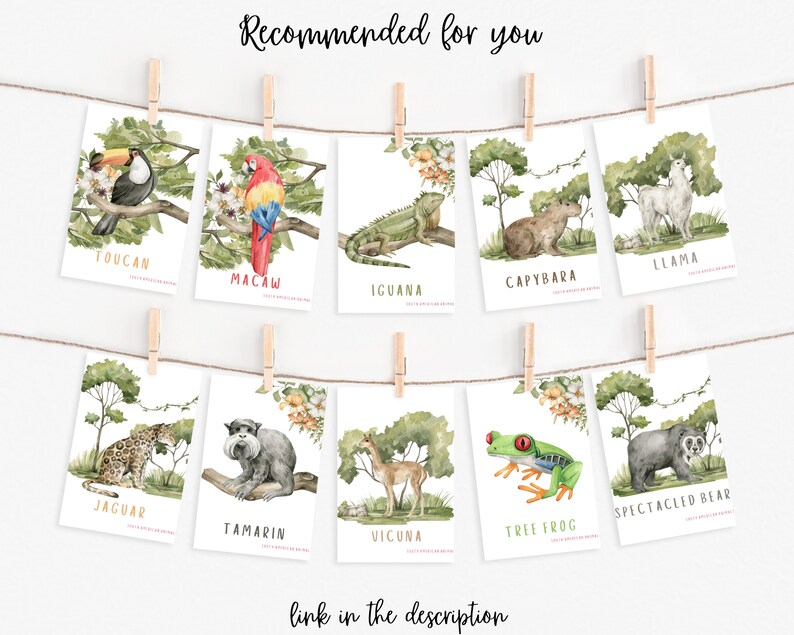 Printable Animal Flashcards Asian Animal Flashcards Kids - Etsy