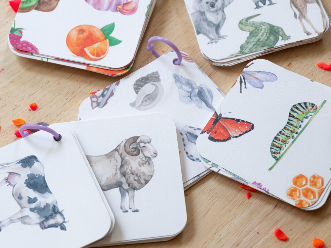 80 Printable Flashcards | Animal Flashcards | Fruit and Vegetables ...