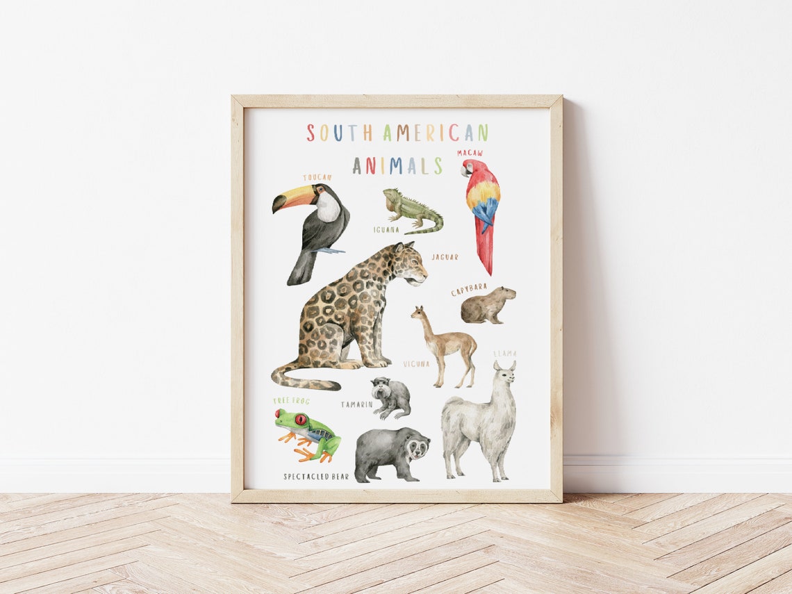 South American Animals Poster | Educational Poster | Classroom Decor ...