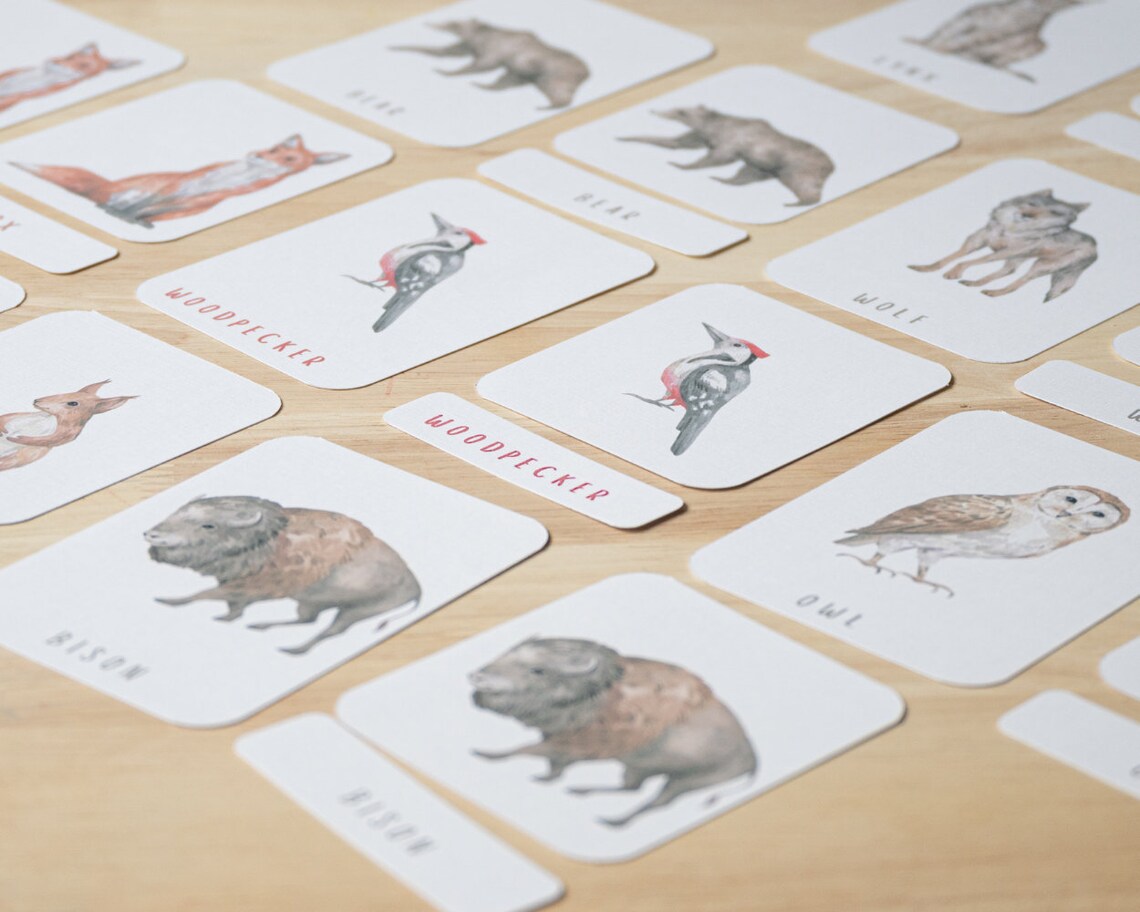 10 Woodland Animals Flashcards for Kids Montessori Flashcards Wild ...