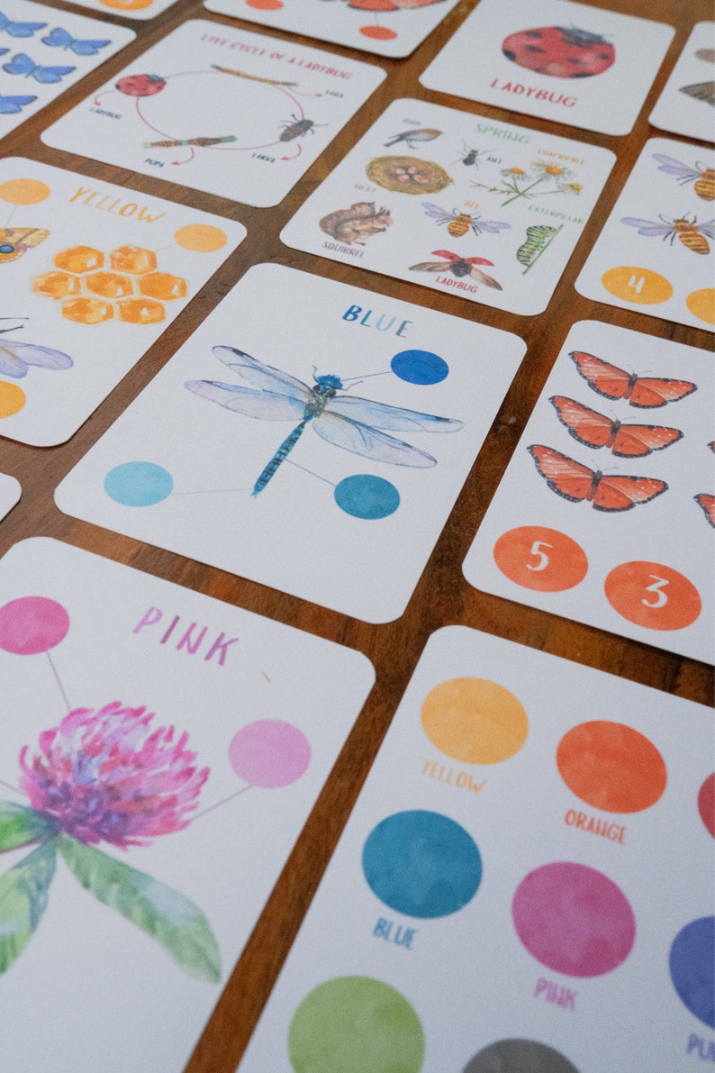 40 Spring Flashcards | Color Flashcards | Counting Flashcards | Nature ...