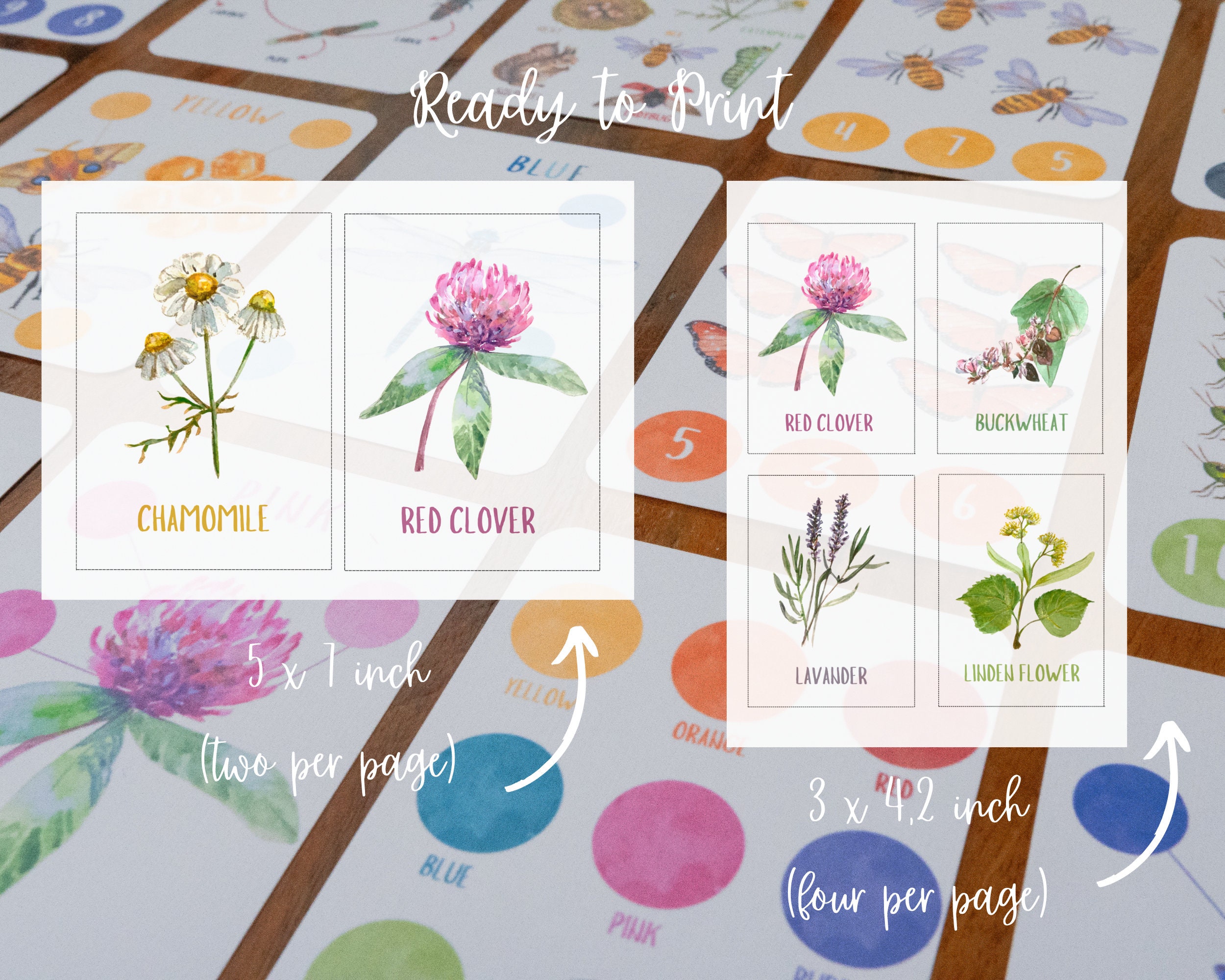 40 Spring Flashcards | Color Flashcards | Counting Flashcards | Nature ...