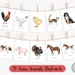 20 Farm Animals Flashcards Domestic Animals Toddler Flashcards ...