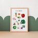 Set of 2 Educational Posters | Fruits Poster | Vegetables Poster ...