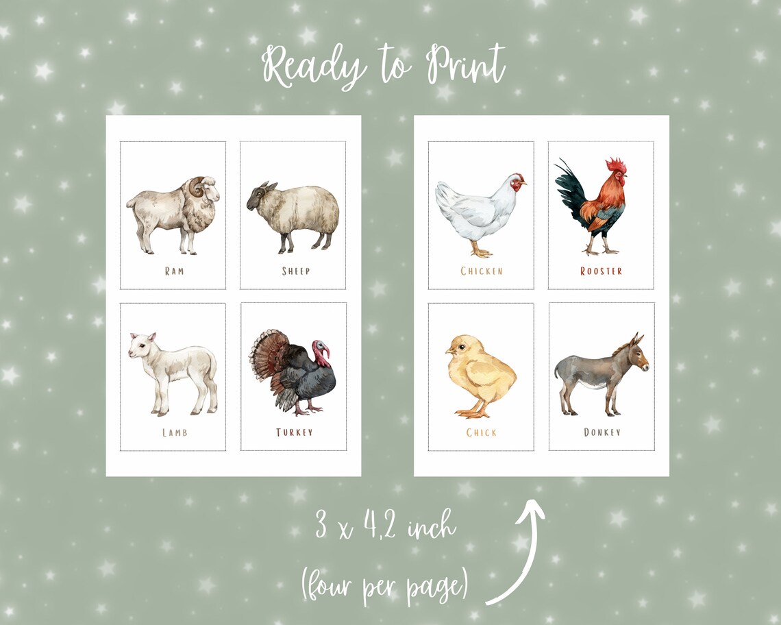 20 Farm Animals Flashcards Domestic Animals Toddler - Etsy