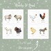 20 Farm Animals Flashcards Domestic Animals Toddler Flashcards ...