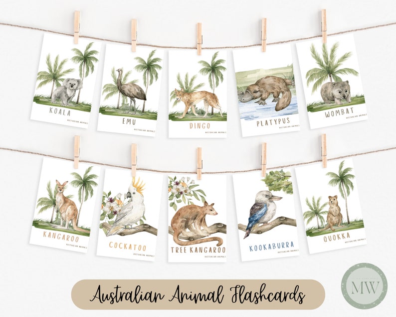 Printable Animal Flashcards Montessori Flashcards Kids - Etsy