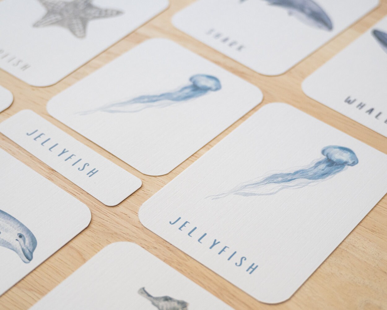 10 Montessori Sea Animals Flashcards for Kids Educational Digital ...