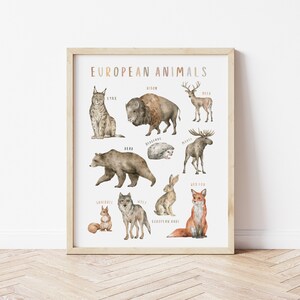 Set of 8 Educational Posters | Wild Animals Posters | Classroom Decor ...