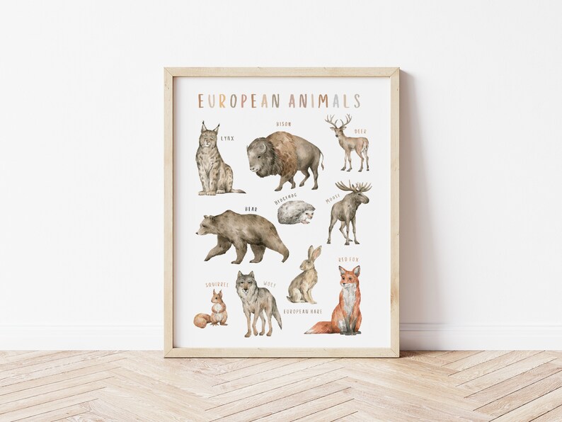 Set of 8 Educational Posters | Wild Animals Posters | Classroom Decor ...