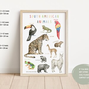 South American Animals Poster | Educational Poster | Classroom Decor ...