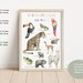 South American Animals Poster | Educational Poster | Classroom Decor ...