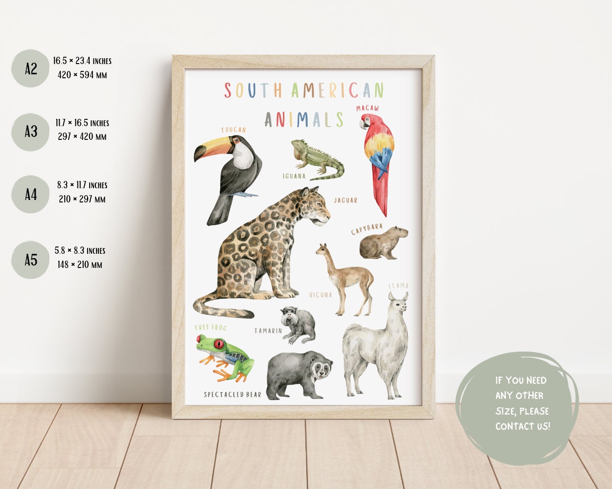 South American Animals Poster | Educational Poster | Classroom Decor ...