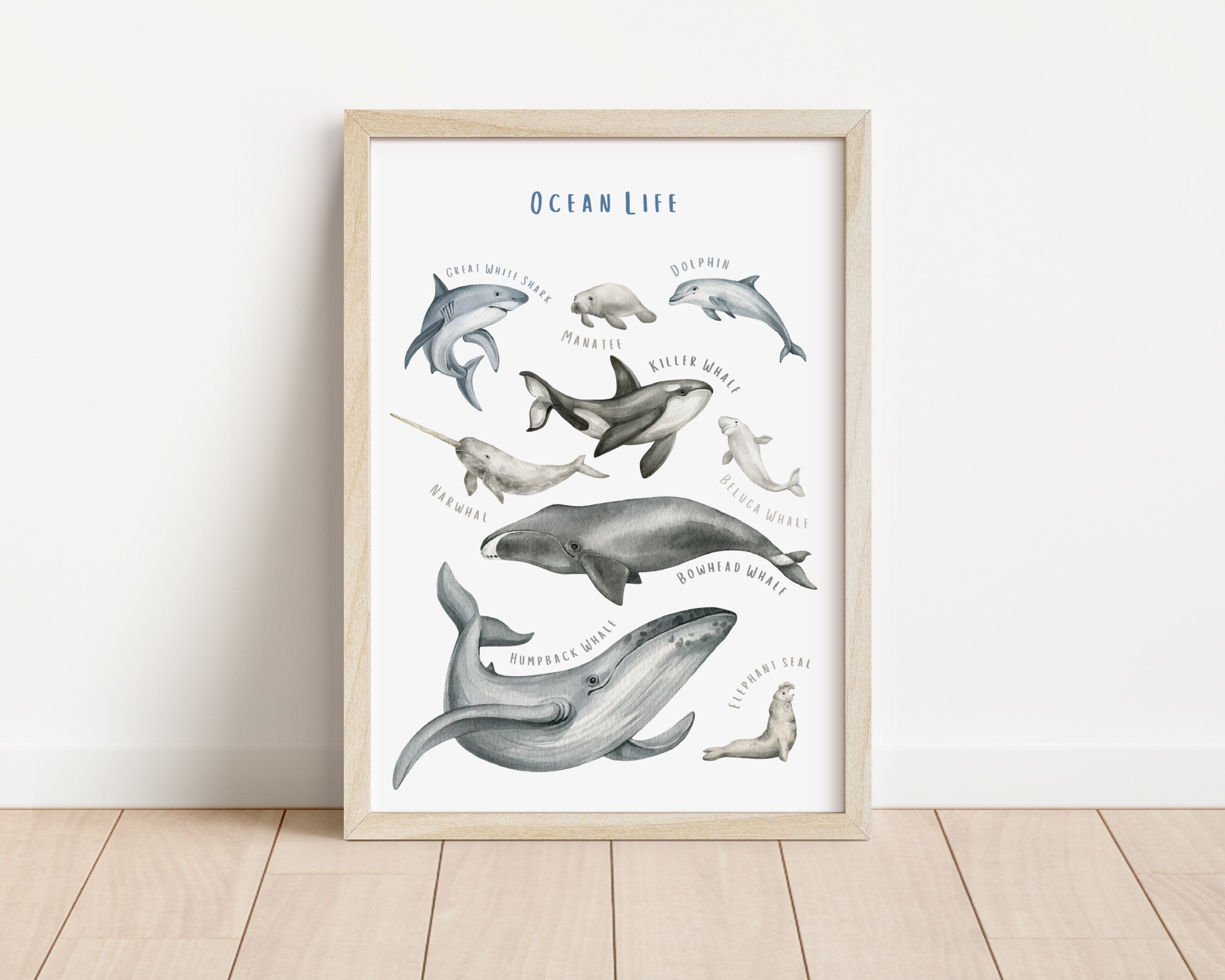 Ocean Animals Poster | Educational Poster | Homeschool Decor ...