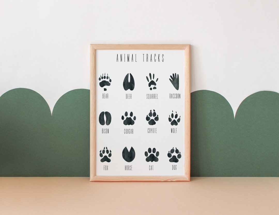 Animal Tracks Poster Woodland Poster Montessori Posters Educational ...