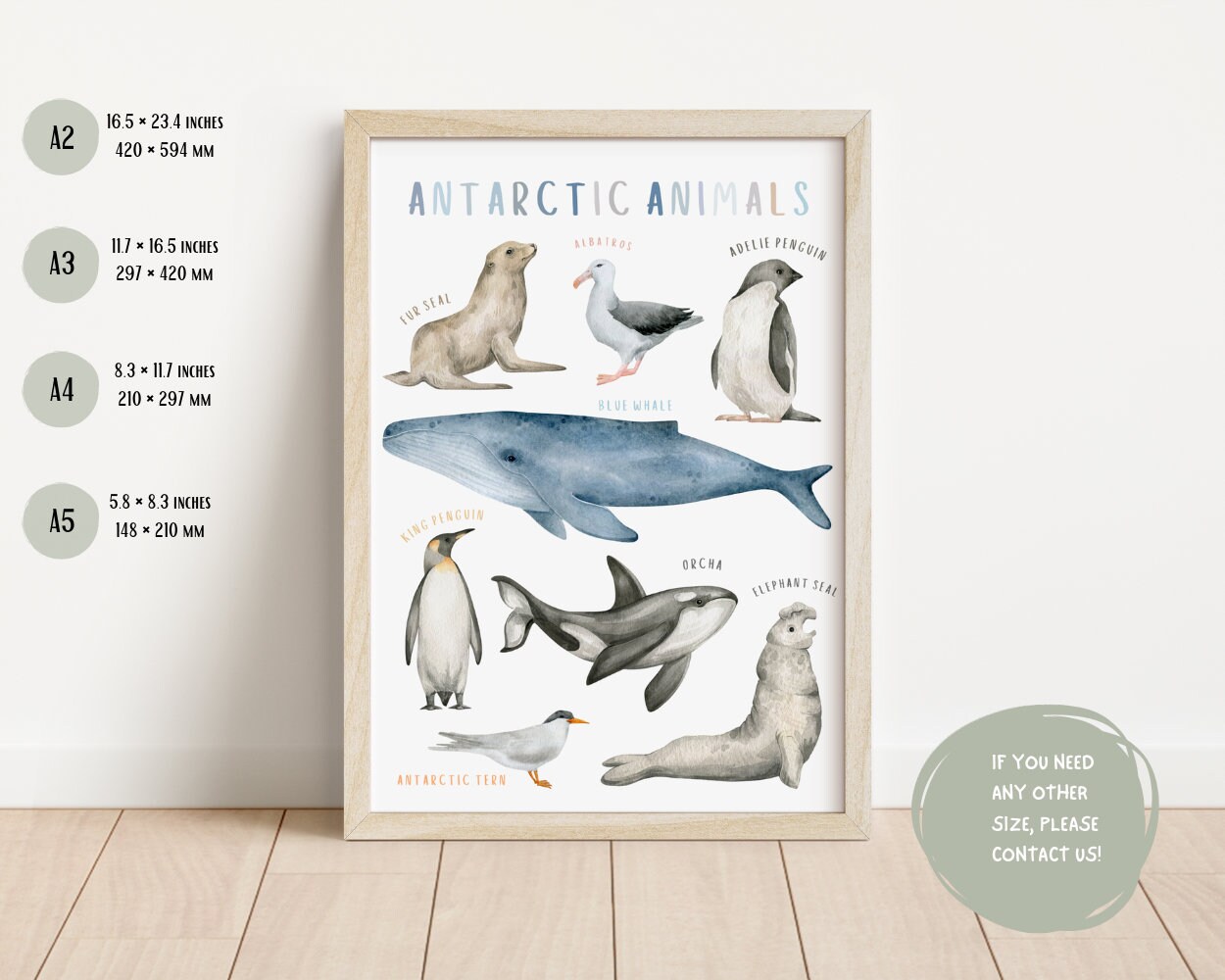 Antarctic Animals Poster | Educational Poster | Classroom Decor ...