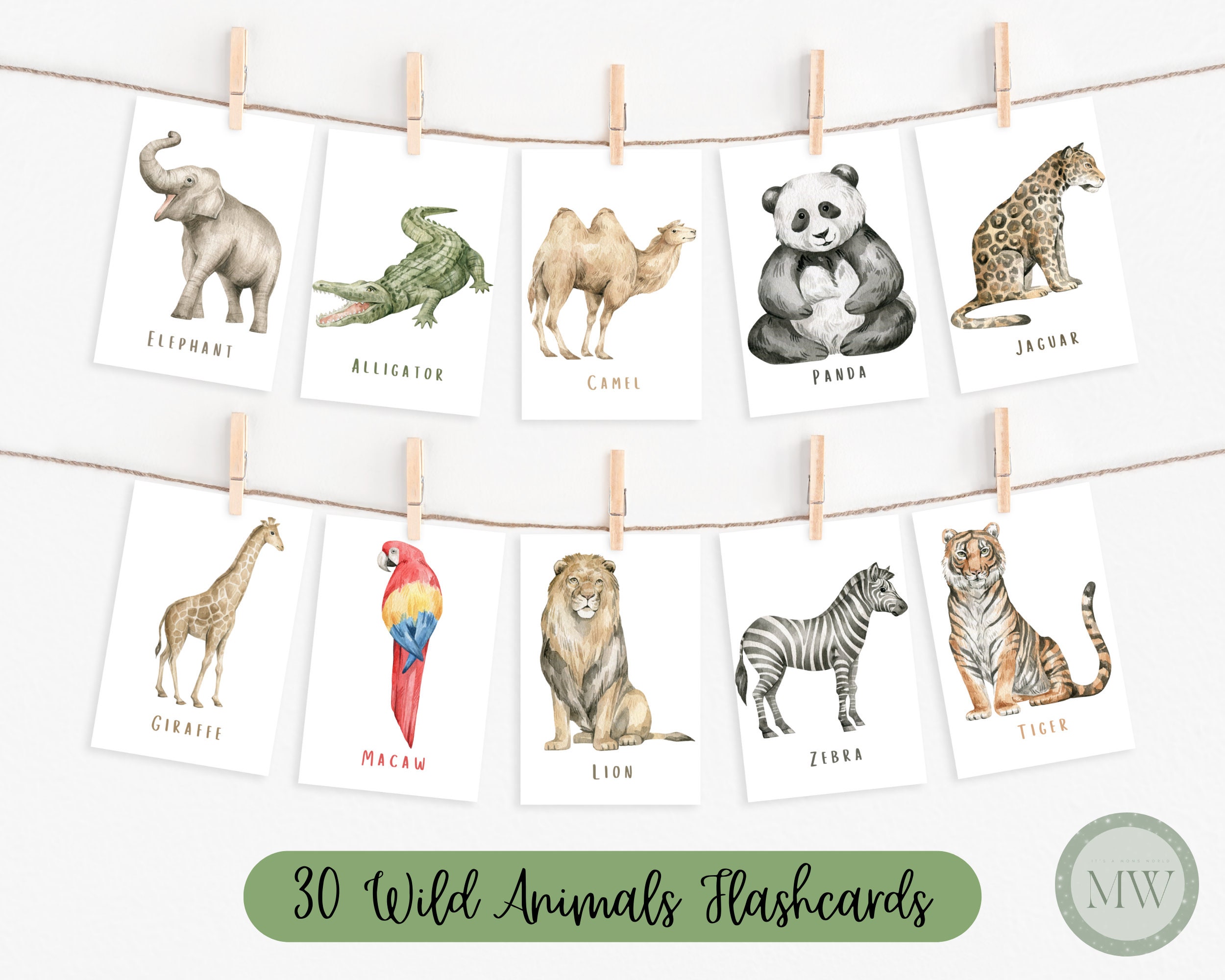 Animal Flashcards Wild Animals Poster Domestic Animals - Etsy