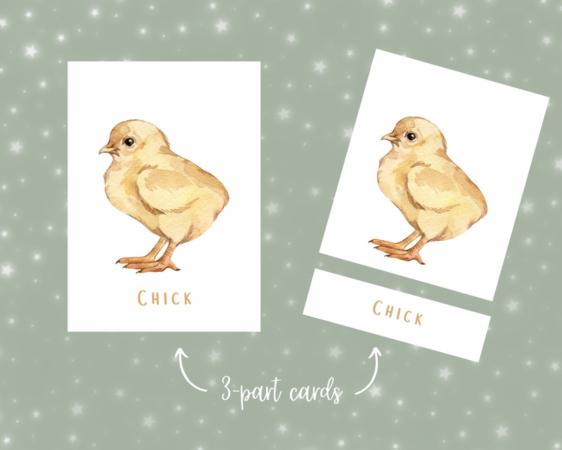 20 Farm Animals Flashcards Domestic Animals Toddler - Etsy