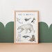 Set of 3 Educational Posters Animal Posters Classroom Decor Montessori ...