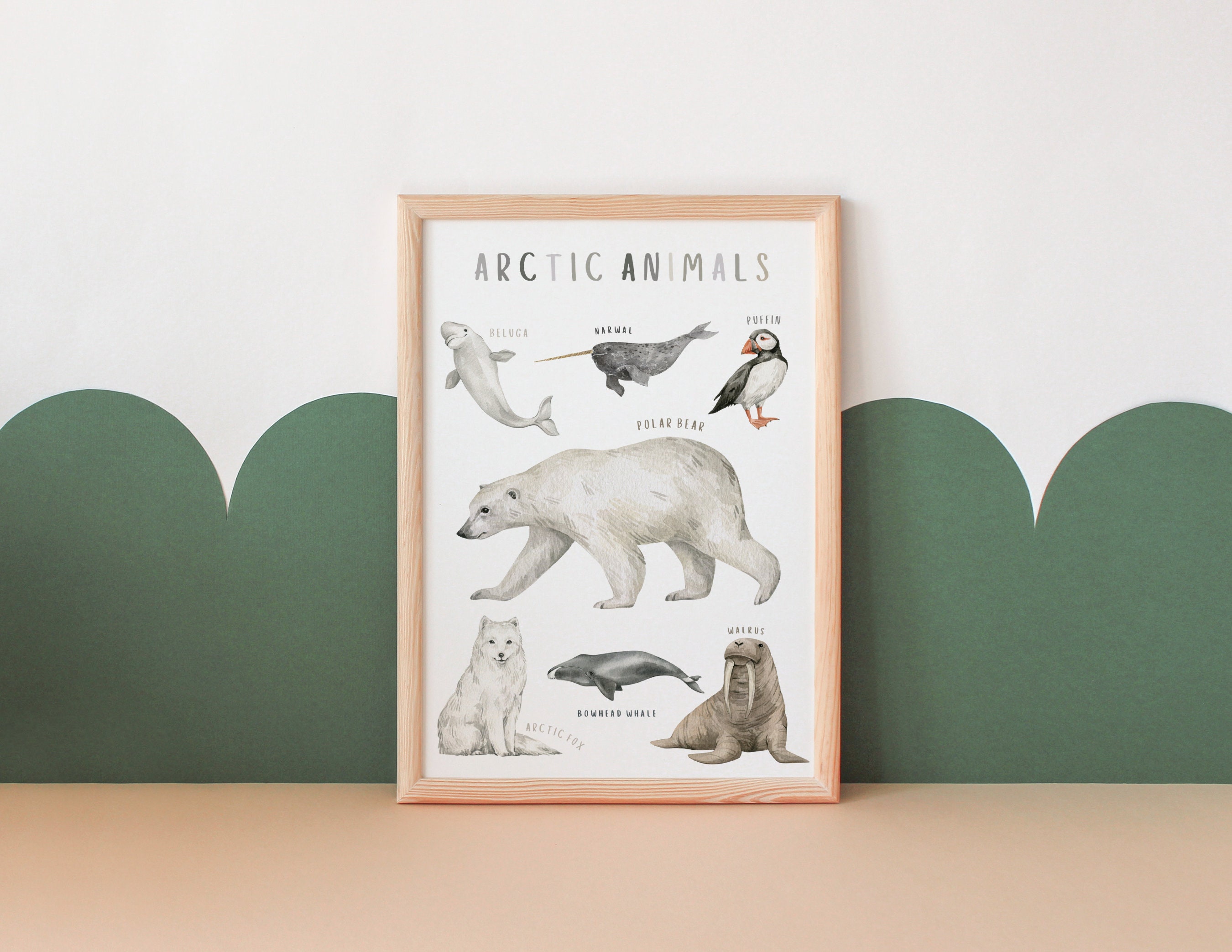 Arctic Animals Poster Educational Poster Classroom Decor Homeschooling ...