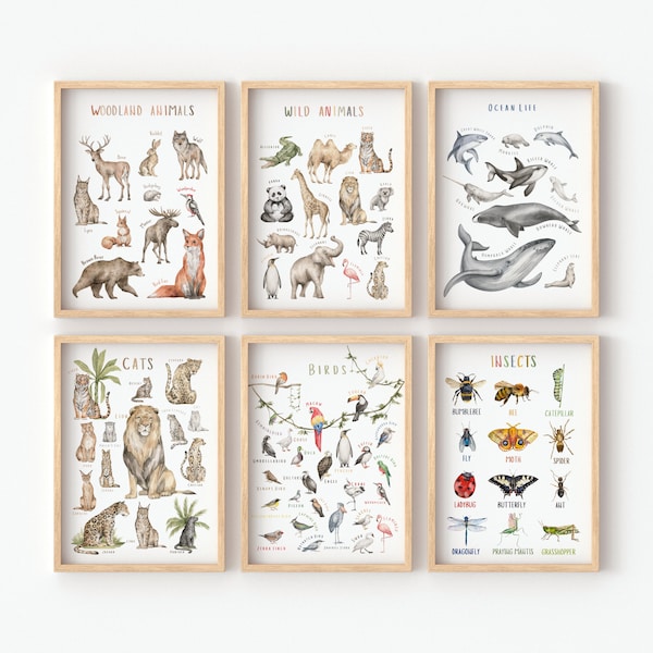 Animals Poster - Etsy