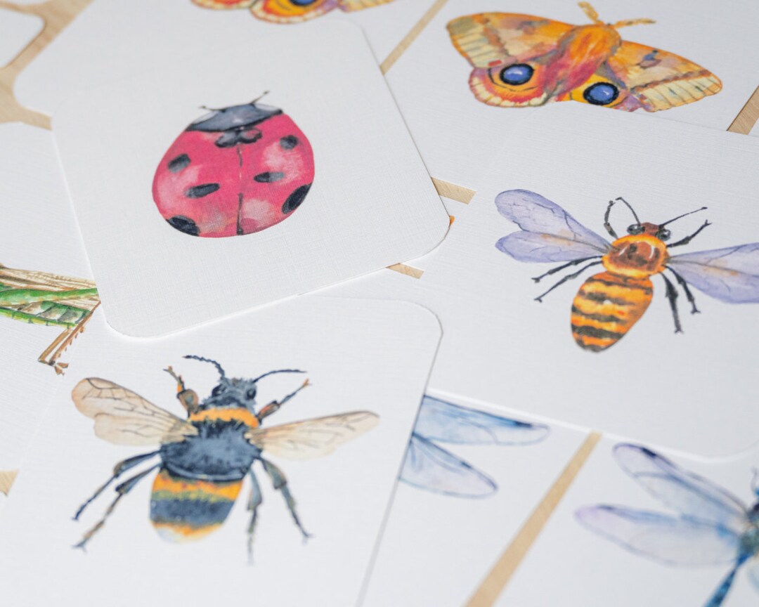10 Montessori Insects Flashcards for Kids | Montessori 3-part-cards ...