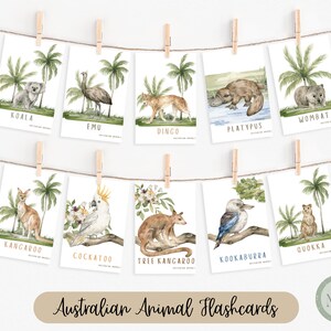 70 Printable Animal Flashcards | Toddler Flashcards | Preschool ...