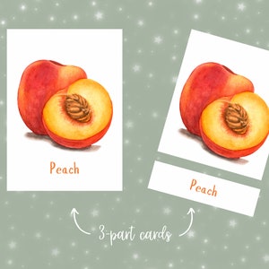 30 Fruit and Vegetable Flashcards | Fruits Poster | Vegetables Poster ...
