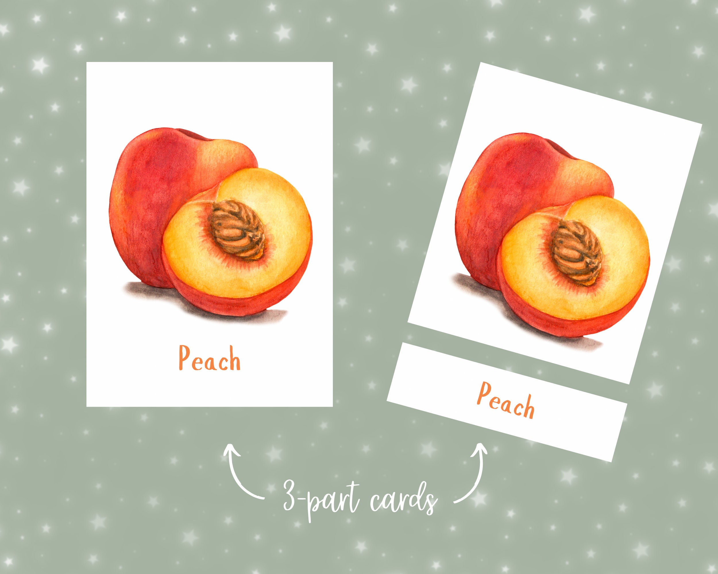 30 Fruit and Vegetable Flashcards Fruits Poster Vegetables - Etsy