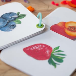 80 Printable Flashcards | Animal Flashcards | Fruit and Vegetables ...