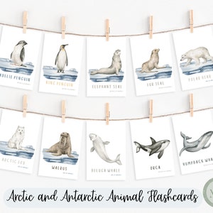 70 Printable Animal Flashcards | Toddler Flashcards | Preschool ...