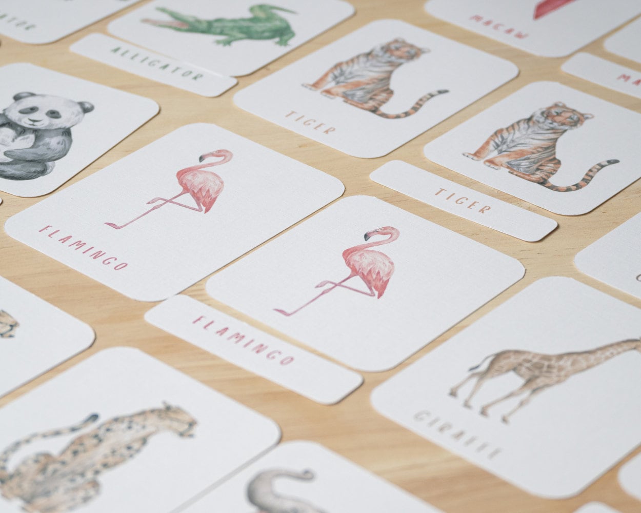20 Interactive Montessori Wild Animals Flashcards for Kids ...